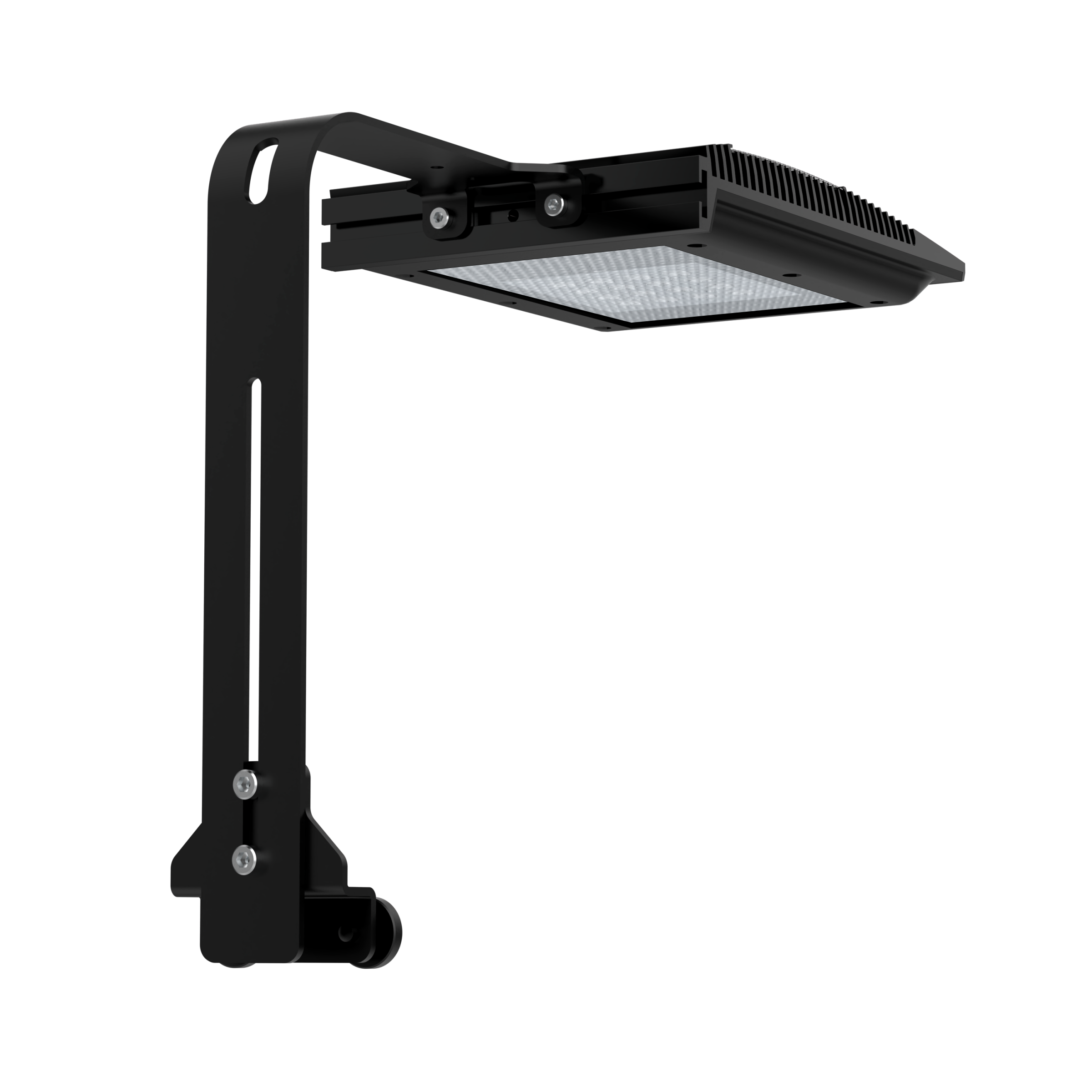 Halter VERVVE | Giesemann